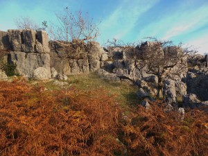 Farleton Knott Limeston