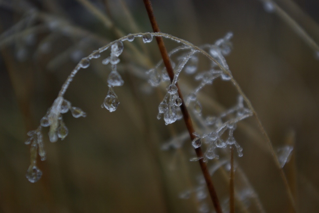 icedrops | Reasons to go North