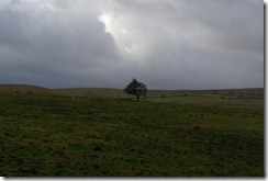 Circular Walk from Krikby Stephen